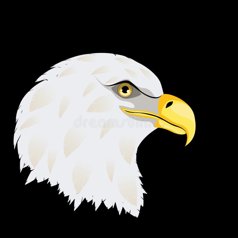 Stylized bald eagle head stock vector. Illustration of symbol - 126171645
