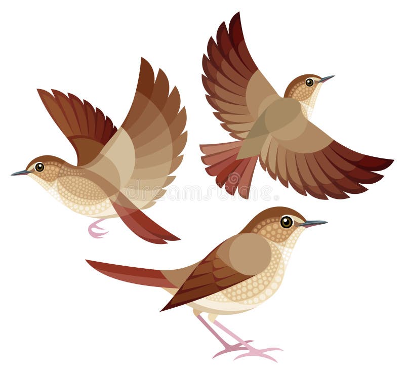 Stylized Birds - Songbird - Vector Illustration Stock Vector ...