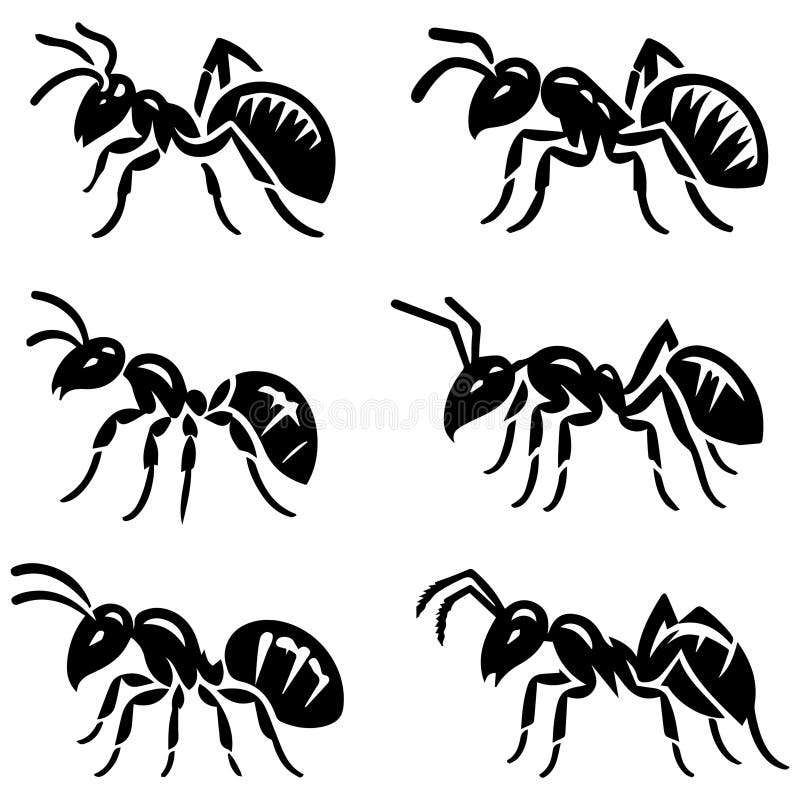 Stylized Black Ant Vector Set Ant & Wasp Silhouette Illustrations Stock ...