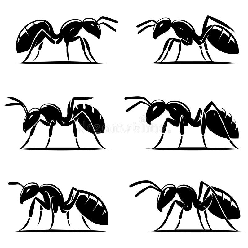 Stylized Black Ant Vector Set Ant & Wasp Silhouette Illustrations Stock ...