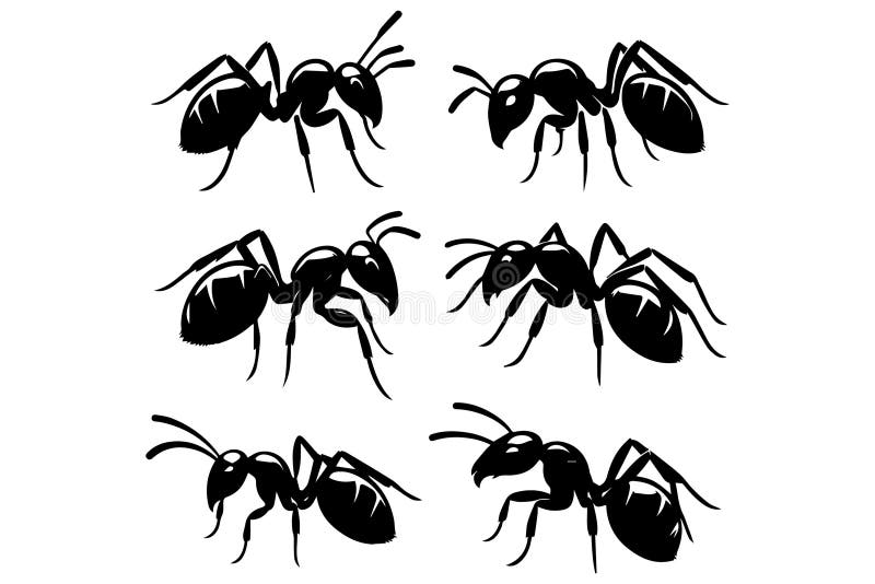 Stylized Black Ant Vector Set Ant & Wasp Silhouette Illustrations Stock ...