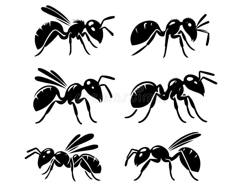 Stylized Black Ant Vector Set Ant & Wasp Silhouette Illustrations Stock ...