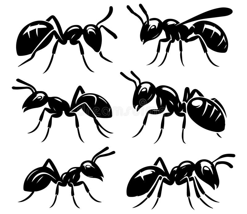 Stylized Black Ant Vector Set Ant & Wasp Silhouette Illustrations Stock ...