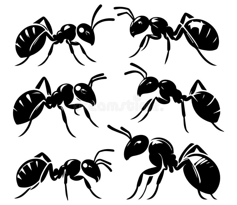 Stylized Black Ant Vector Set Ant & Wasp Silhouette Illustrations Stock ...