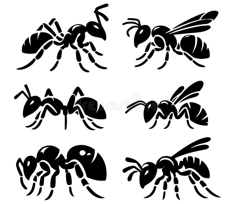 Stylized Black Ant Vector Set Ant & Wasp Silhouette Illustrations Stock ...