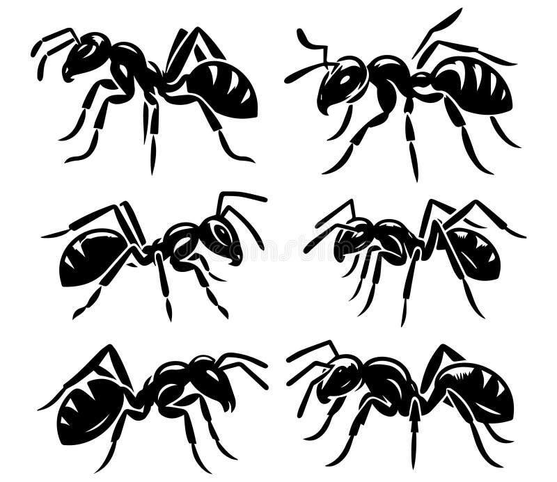 Stylized Black Ant Vector Set Ant & Wasp Silhouette Illustrations Stock ...