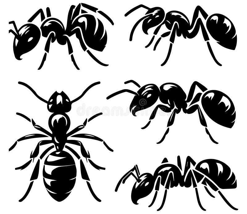 Stylized Black Ant Vector Set Ant & Wasp Silhouette Illustrations Stock ...