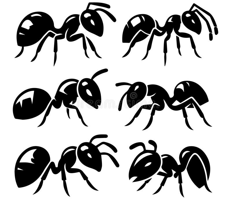 Stylized Black Ant Vector Set Ant & Wasp Silhouette Illustrations Stock ...