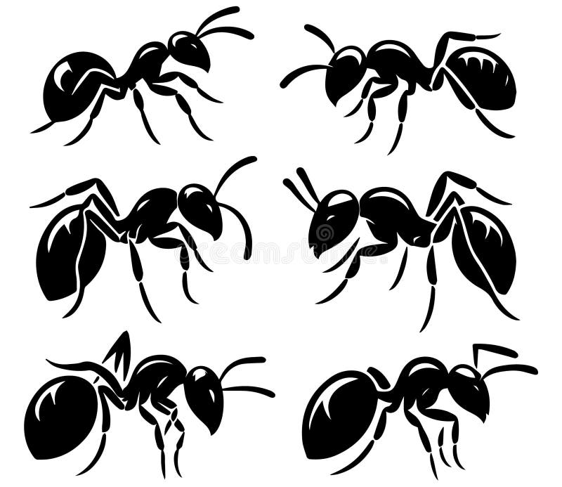 Stylized Black Ant Vector Set Ant & Wasp Silhouette Illustrations Stock ...