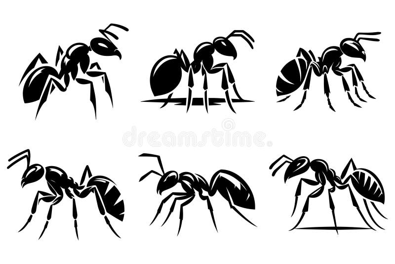 Stylized Black Ant Vector Set Ant & Wasp Silhouette Illustrations Stock ...