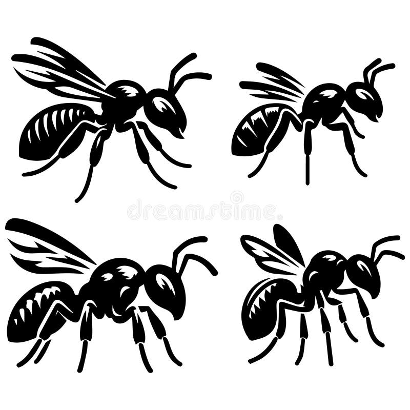 Stylized Black Ant Vector Set Ant & Wasp Silhouette Illustrations Stock ...