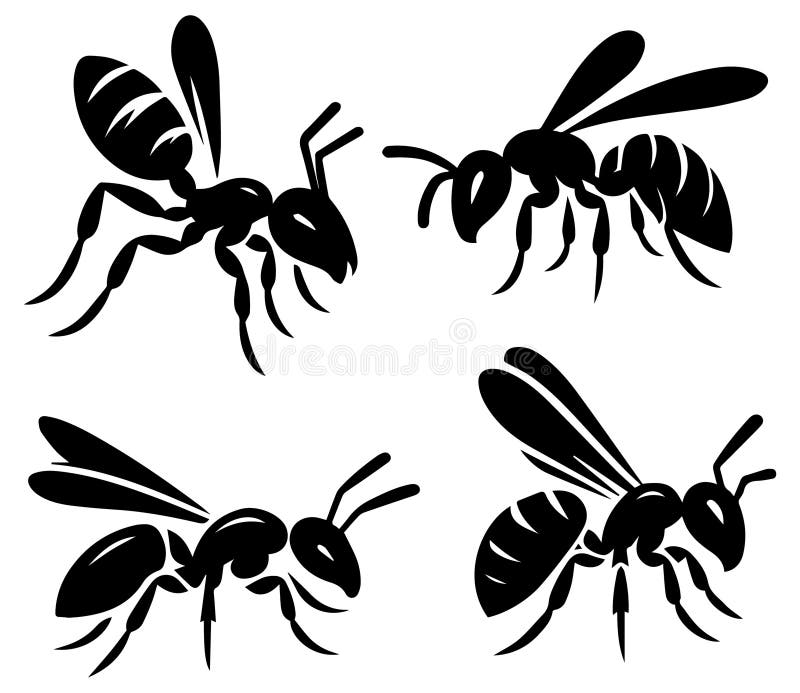 Stylized Black Ant Vector Set Ant & Wasp Silhouette Illustrations Stock ...