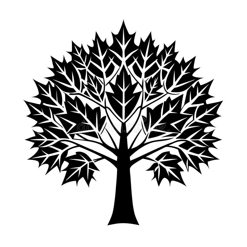Elegant Black and White Maple Tree Illustration for Design Projects ...