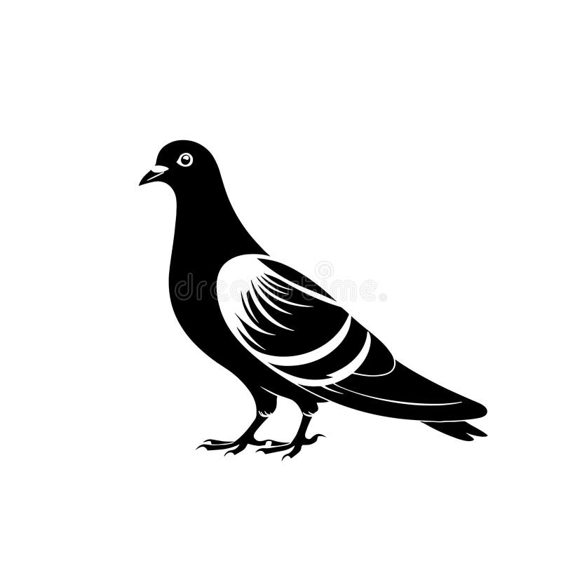 Stylized Black and White Vector Pigeon Ideal for Tattoo Design Stock ...