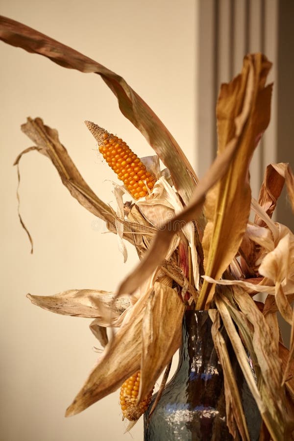 A Stylized Bouquet of Leaves and Corn Cobs. Dry Corn in a Glass Bottle ...