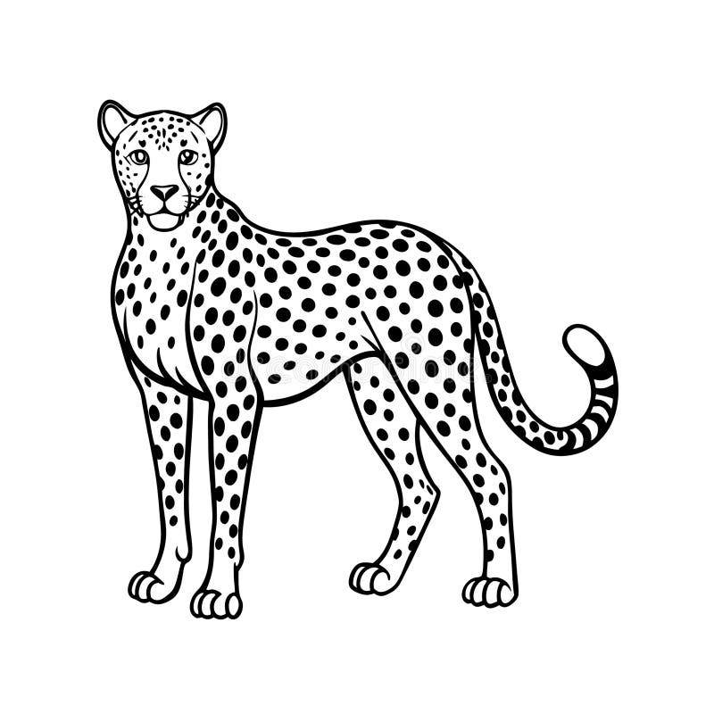Stylized Cheetah Animal Illustration for Fun Stock Illustration ...