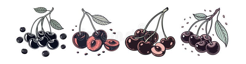Stylized Cherry Illustration with Stem and Leaves Isolated Stock Vector ...
