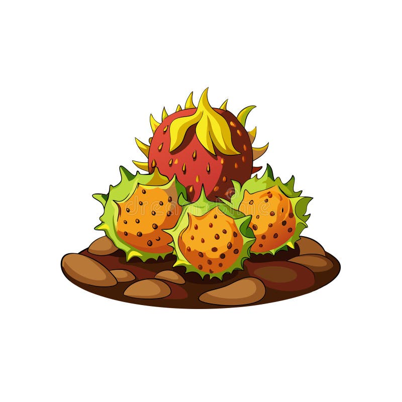 Stylized Chesnuts and Conker Illustration on White Background Stock ...