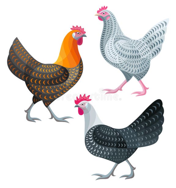 Stylized Chickens - Hens stock vector. Illustration of speckled - 145788292
