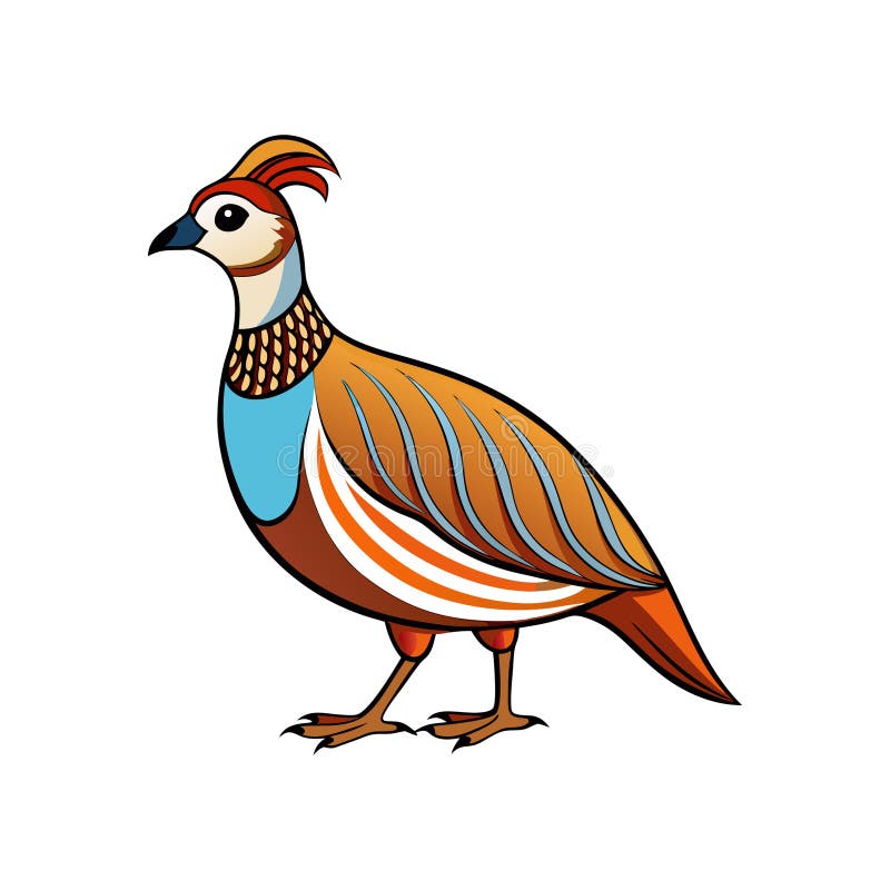 Stylized Chukar Stock Illustrations – 4 Stylized Chukar Stock ...