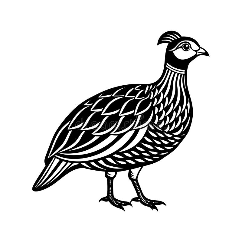 Stylized Chukar for Creative Linocut Arts Stock Illustration ...