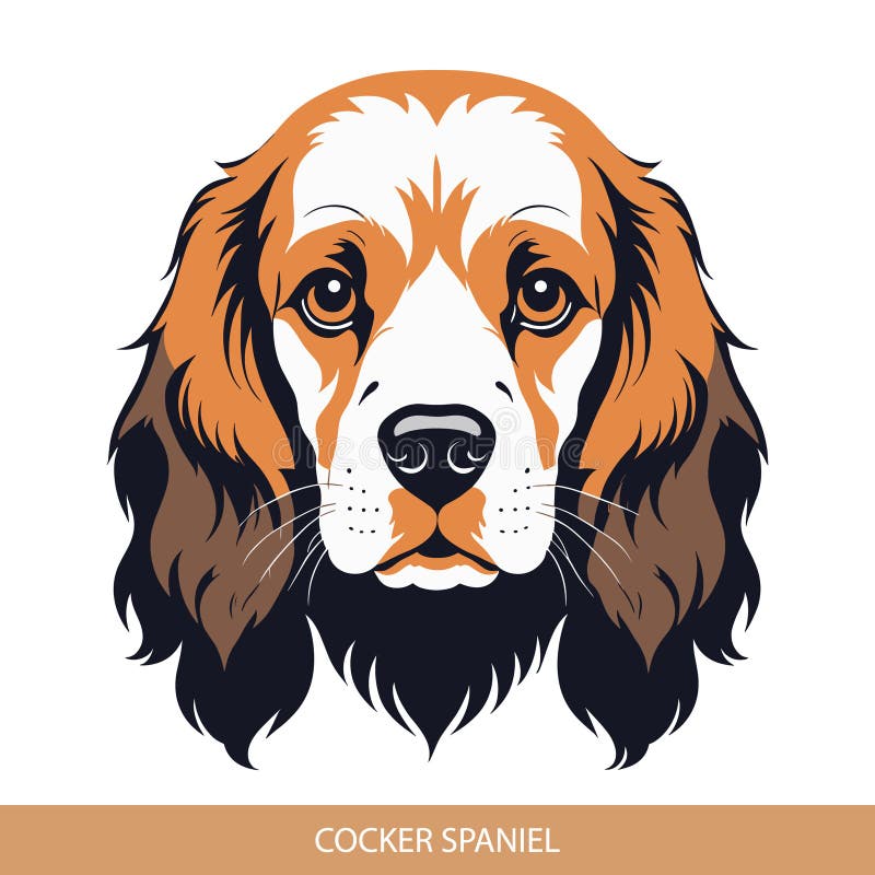 Stylized Cocker Spaniel Dog Head Illustration in Vector Art Stock ...