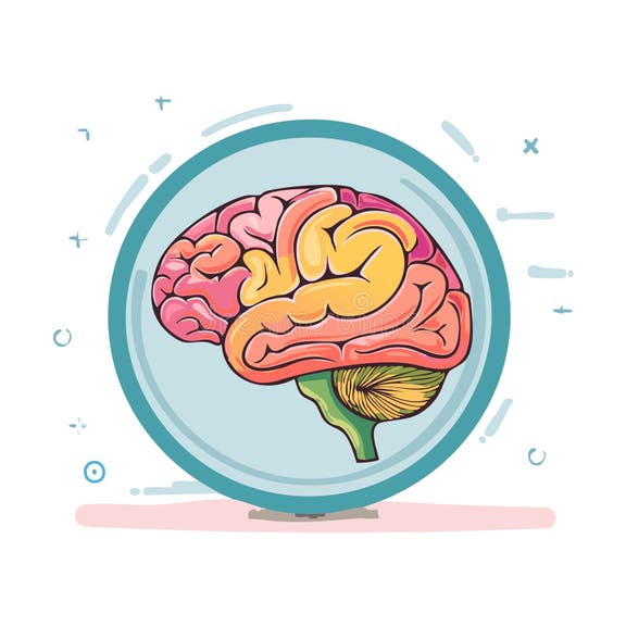 Stylized Colorful Human Brain Illustration Inside a Circular Frame with ...