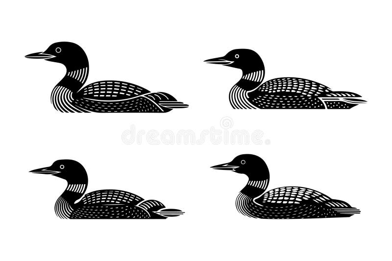 Stylized Common Loon Vector Illustrations, High-Quality Wildlife ...