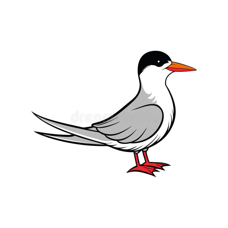 Stylized Common Tern for Creative Coloring Stock Photo - Illustration ...