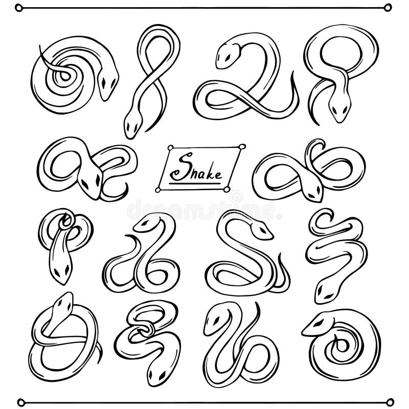Stylized Contour Vector Set of Snakes Stock Vector - Illustration of ...
