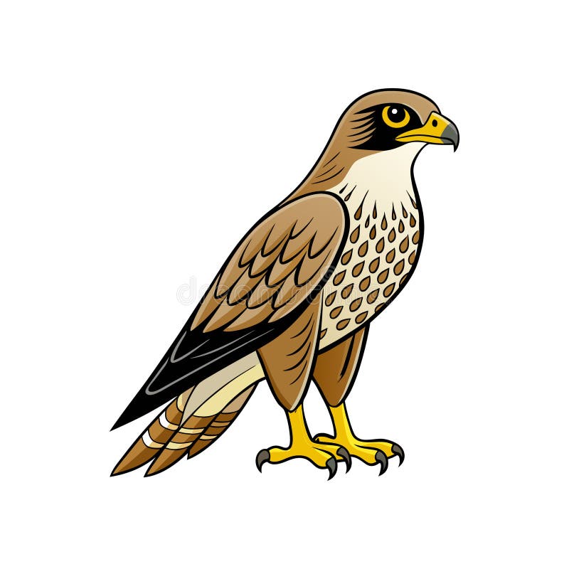 Stylized Coopers Stock Illustrations – 4 Stylized Coopers Stock ...