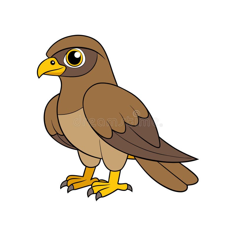 Stylized Coopers Hawk for Creative Coloring Stock Illustration ...