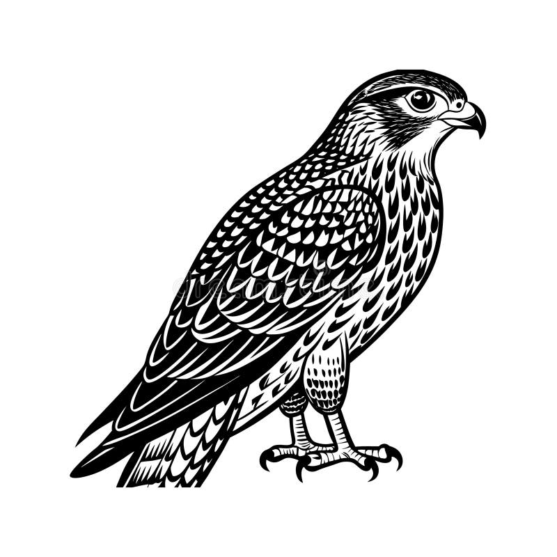 Stylized Coopers Hawk for Creative Linocut Arts Stock Photo ...