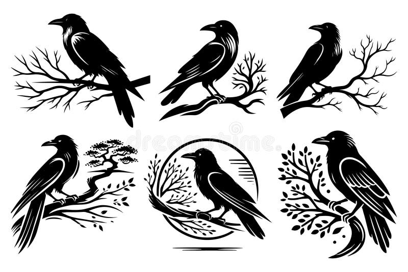 Stylized Crow Vector Set Raven & Bird Silhouette Illustrations Stock ...