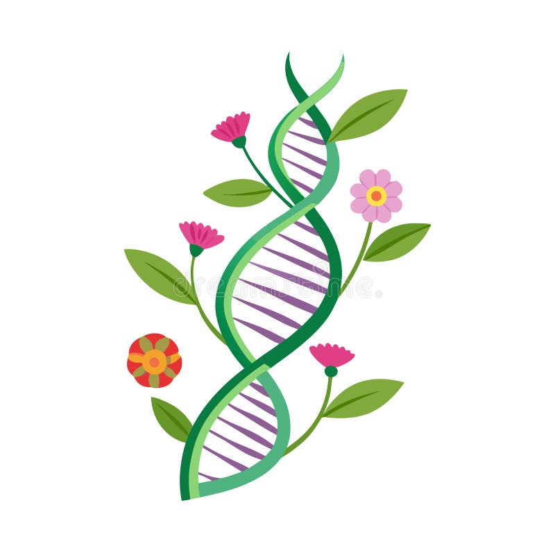 DNA Strand Decorated with Flowers and Leaves on a White Background ...