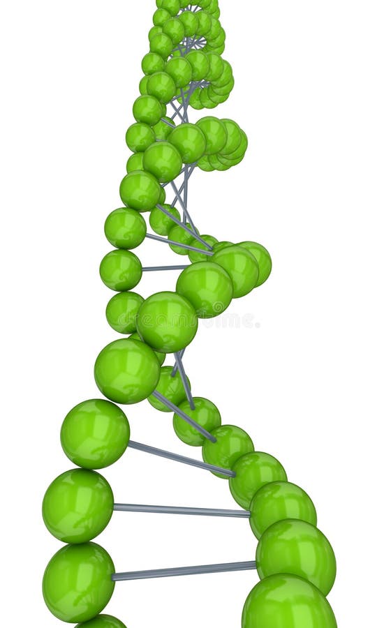 Stylized DNA symbol. stock illustration. Illustration of clone - 23554472