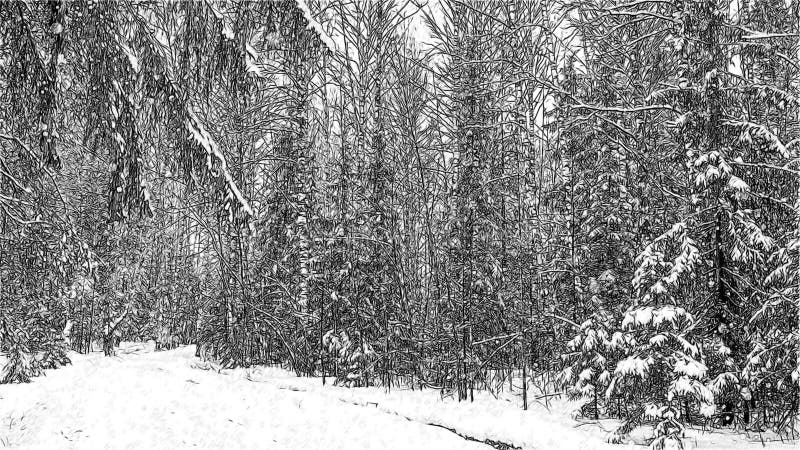 CINEMAGRAPH, 4k, Falling Snow in the Winter Forest, Loop Stock Footage ...