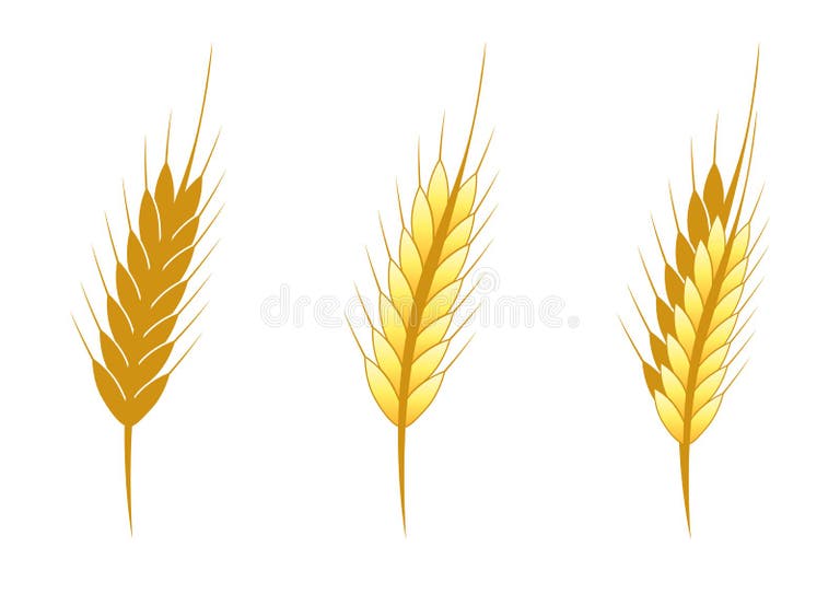 Stylized Wheat Emblem Stock Illustrations – 518 Stylized Wheat Emblem ...