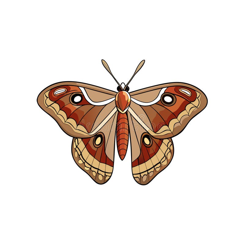 Emperor Moth Stock Illustrations – 13,872 Emperor Moth Stock ...