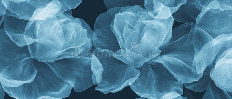 Stylized Floral Outlines Creating an Elegant and Sophisticated ...