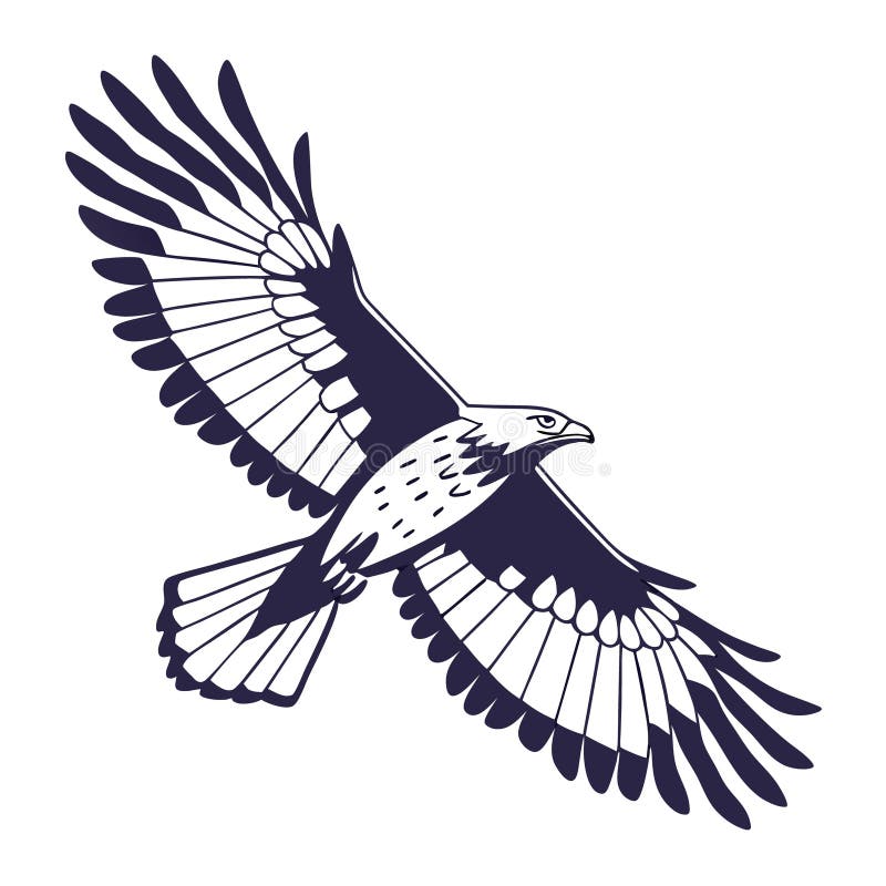 Flying Eagle Illustration Stock Illustrations – 36,629 Flying Eagle Illustration Stock ...