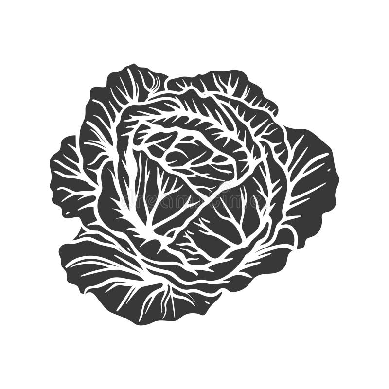 AI-Generated Cabbage Illustration Stock Vector - Illustration of ...