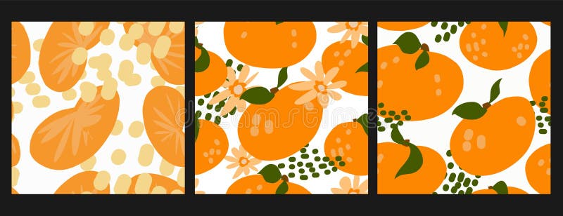 Stylized Graphic Vector Pattern Set of Tangerines. Stock Vector ...