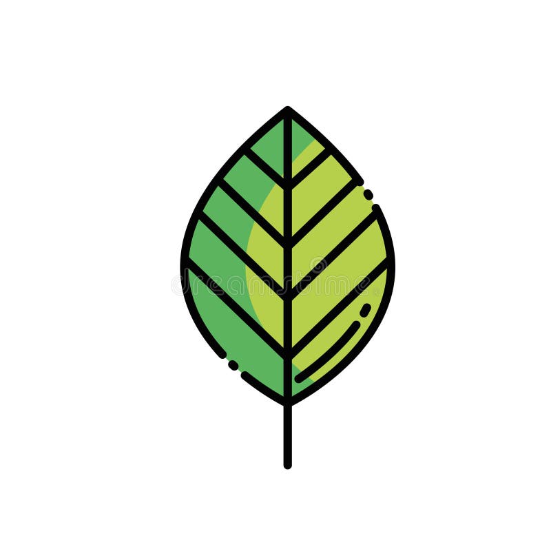 Stylized Green Leaf Illustration Flat Line Stock Illustration ...
