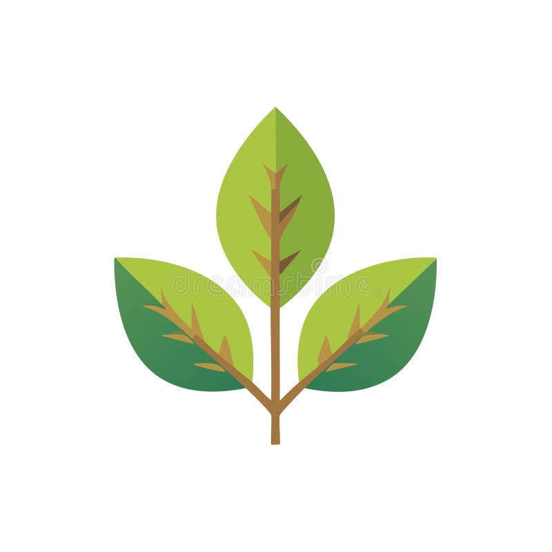 Stylized Green Leaves with Branch - Graphic Element for Sustainability and Environmental Designs ...