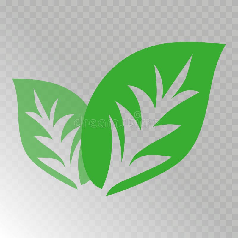 Stylized Green Leaves. Nature Icon Silhouette. Vector Leaf Pair ...
