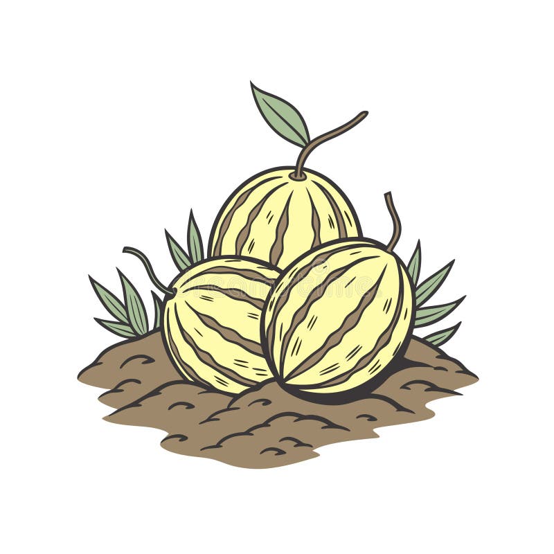 Stylized Group of Three Light Yellow Melons Illustration Stock Photo ...