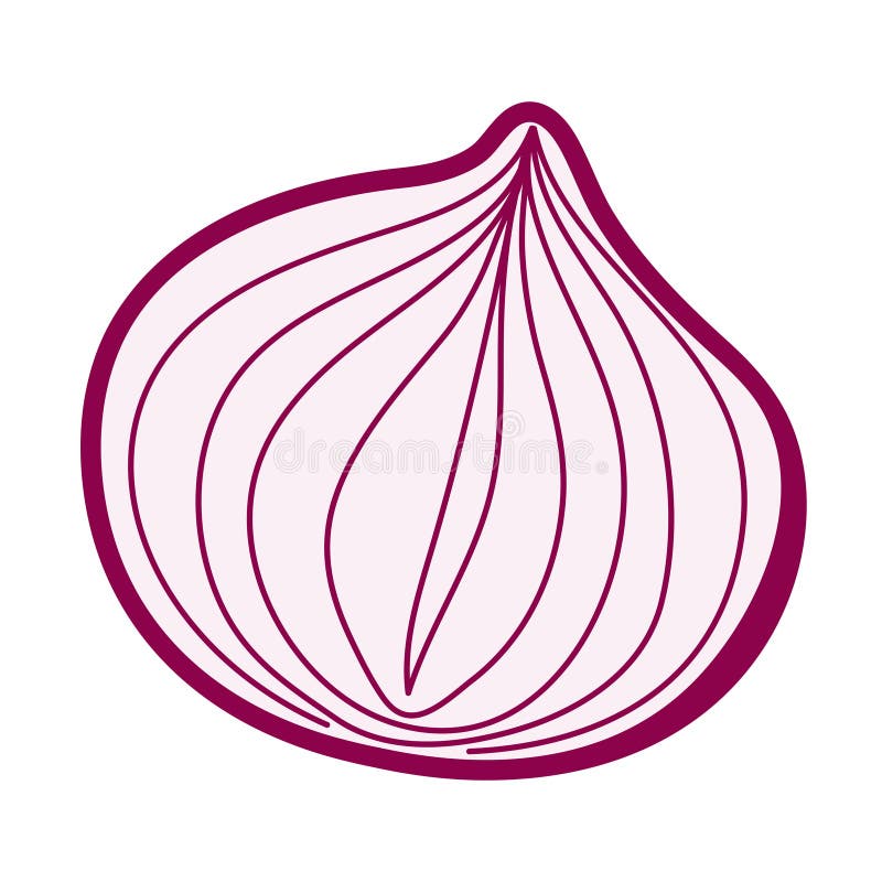 Stylized Onion Isolated Illustration Stock Illustration - Illustration ...