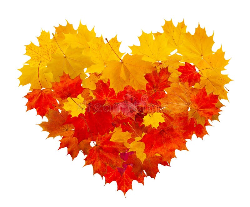 Stylized Heart Made from Leaves Isolated on White. Bright Stylized ...