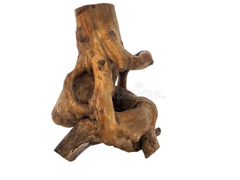 Stylized Human Figure Made from Tree Roots Stock Photo - Image of ...